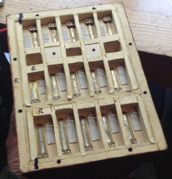 Reeds – Holden Concertinas