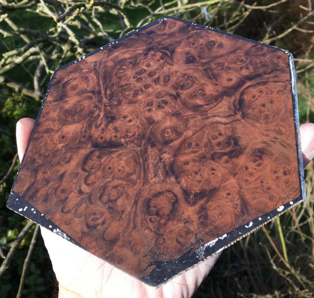 No. 4: A 44 Button Crane Duet – Holden Concertinas